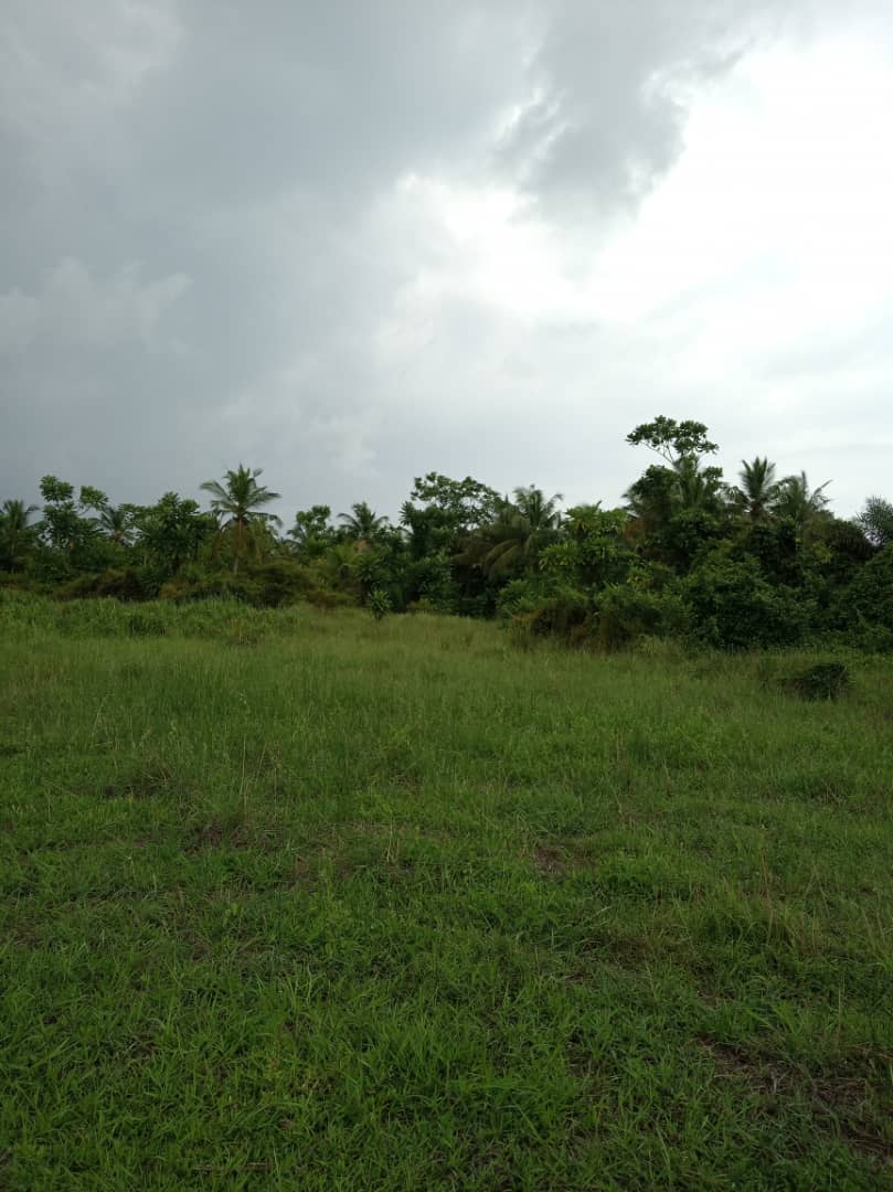 OCEAN AND LAGOON WATER-FRONT LANDS, AND OTHER UPLANDS IN BADAGRY AREAS ...